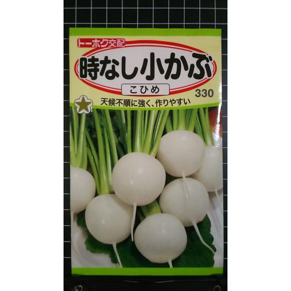 合計350円以下でのご注文は、申し訳ありませんがお受けできなくなっております。在庫切れ防止のため、実際の在庫数より販売可能数を少なく設定しております。まとまった数量をご希望の場合は、お問い合わせください。いろいろな品種を、よりどり３袋以上で...