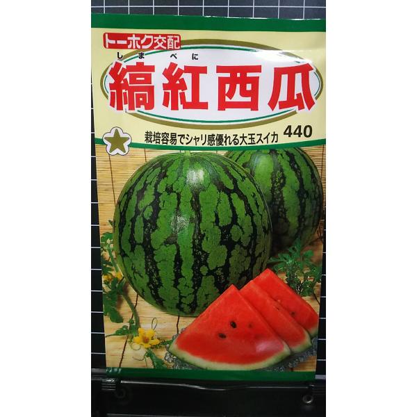 合計350円以下でのご注文は、申し訳ありませんがお受けできなくなっております。在庫切れ防止のため、実際の在庫数より販売可能数を少なく設定しております。まとまった数量をご希望の場合は、お問い合わせください。いろいろな品種を、よりどり３袋以上で...