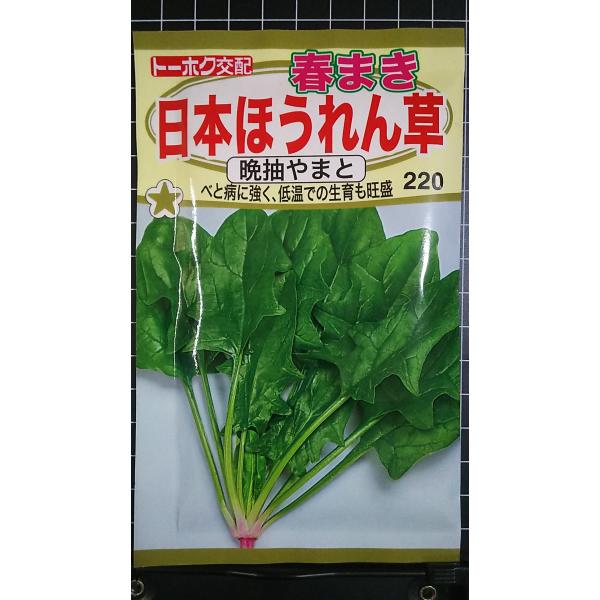 合計350円以下でのご注文は、申し訳ありませんがお受けできなくなっております。在庫切れ防止のため、実際の在庫数より販売可能数を少なく設定しております。まとまった数量をご希望の場合は、お問い合わせください。いろいろな品種を、よりどり３袋以上で...