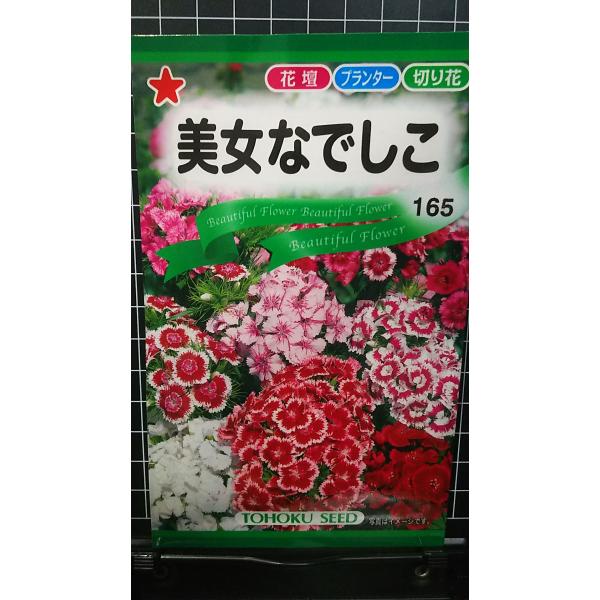 合計350円以下でのご注文は、申し訳ありませんがお受けできなくなっております。在庫切れ防止のため、実際の在庫数より販売可能数を少なく設定しております。まとまった数量をご希望の場合は、お問い合わせください。いろいろな品種を、よりどり３袋以上で...