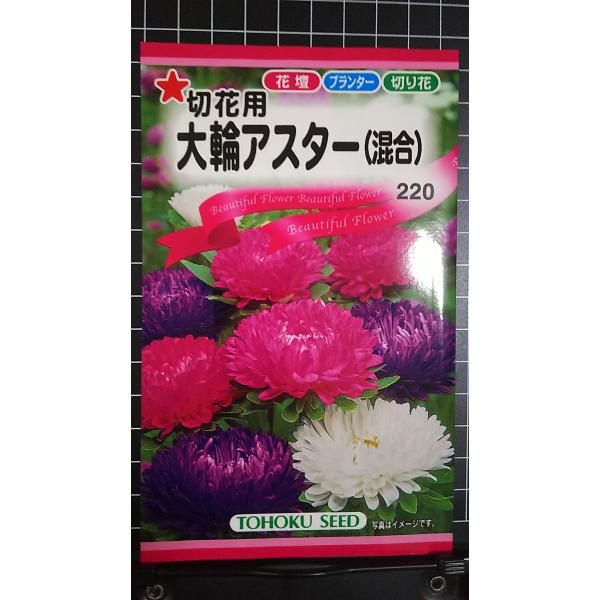 合計350円以下でのご注文は、申し訳ありませんがお受けできなくなっております。在庫切れ防止のため、実際の在庫数より販売可能数を少なく設定しております。まとまった数量をご希望の場合は、お問い合わせください。いろいろな品種を、よりどり３袋以上で...