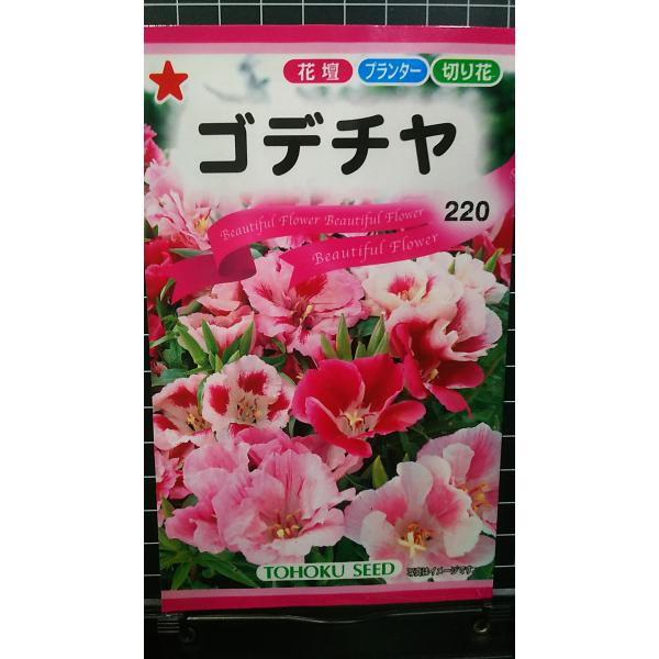 合計350円以下でのご注文は、申し訳ありませんがお受けできなくなっております。在庫切れ防止のため、実際の在庫数より販売可能数を少なく設定しております。まとまった数量をご希望の場合は、お問い合わせください。いろいろな品種を、よりどり３袋以上で...