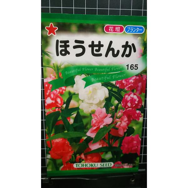 合計350円以下でのご注文は、申し訳ありませんがお受けできなくなっております。在庫切れ防止のため、実際の在庫数より販売可能数を少なく設定しております。まとまった数量をご希望の場合は、お問い合わせください。いろいろな品種を、よりどり３袋以上で...
