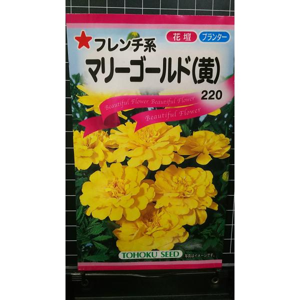 合計350円以下でのご注文は、申し訳ありませんがお受けできなくなっております。在庫切れ防止のため、実際の在庫数より販売可能数を少なく設定しております。まとまった数量をご希望の場合は、お問い合わせください。いろいろな品種を、よりどり３袋以上で...