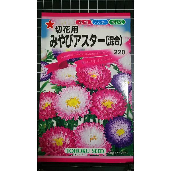 合計350円以下でのご注文は、申し訳ありませんがお受けできなくなっております。在庫切れ防止のため、実際の在庫数より販売可能数を少なく設定しております。まとまった数量をご希望の場合は、お問い合わせください。いろいろな品種を、よりどり３袋以上で...