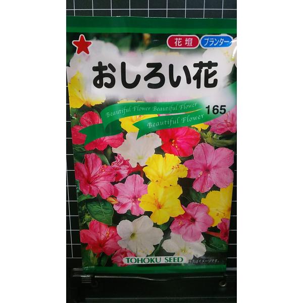合計350円以下でのご注文は、申し訳ありませんがお受けできなくなっております。在庫切れ防止のため、実際の在庫数より販売可能数を少なく設定しております。まとまった数量をご希望の場合は、お問い合わせください。いろいろな品種を、よりどり３袋以上で...