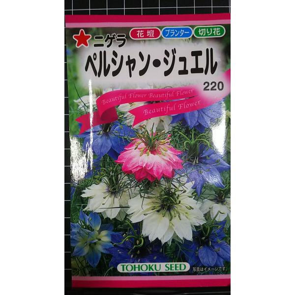 合計350円以下でのご注文は、申し訳ありませんがお受けできなくなっております。在庫切れ防止のため、実際の在庫数より販売可能数を少なく設定しております。まとまった数量をご希望の場合は、お問い合わせください。いろいろな品種を、よりどり３袋以上で...