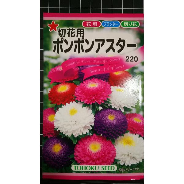 合計350円以下でのご注文は、申し訳ありませんがお受けできなくなっております。在庫切れ防止のため、実際の在庫数より販売可能数を少なく設定しております。まとまった数量をご希望の場合は、お問い合わせください。いろいろな品種を、よりどり３袋以上で...