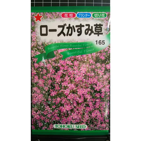 合計350円以下でのご注文は、申し訳ありませんがお受けできなくなっております。在庫切れ防止のため、実際の在庫数より販売可能数を少なく設定しております。まとまった数量をご希望の場合は、お問い合わせください。いろいろな品種を、よりどり３袋以上で...