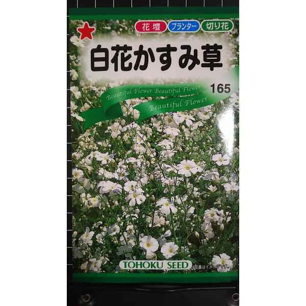 合計350円以下でのご注文は、申し訳ありませんがお受けできなくなっております。在庫切れ防止のため、実際の在庫数より販売可能数を少なく設定しております。まとまった数量をご希望の場合は、お問い合わせください。いろいろな品種を、よりどり３袋以上で...
