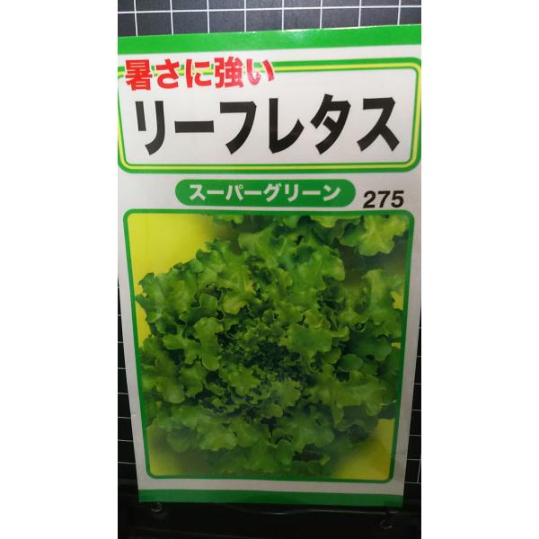 合計350円以下でのご注文は、申し訳ありませんがお受けできなくなっております。在庫切れ防止のため、実際の在庫数より販売可能数を少なく設定しております。まとまった数量をご希望の場合は、お問い合わせください。いろいろな品種を、よりどり３袋以上で...