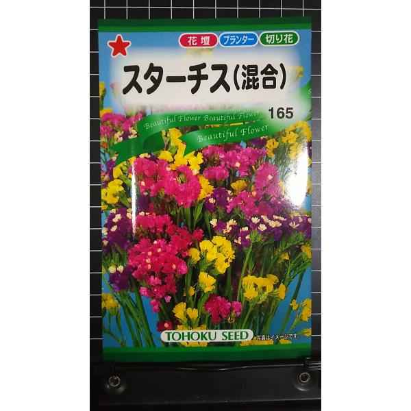 合計350円以下でのご注文は、申し訳ありませんがお受けできなくなっております。在庫切れ防止のため、実際の在庫数より販売可能数を少なく設定しております。まとまった数量をご希望の場合は、お問い合わせください。いろいろな品種を、よりどり３袋以上で...
