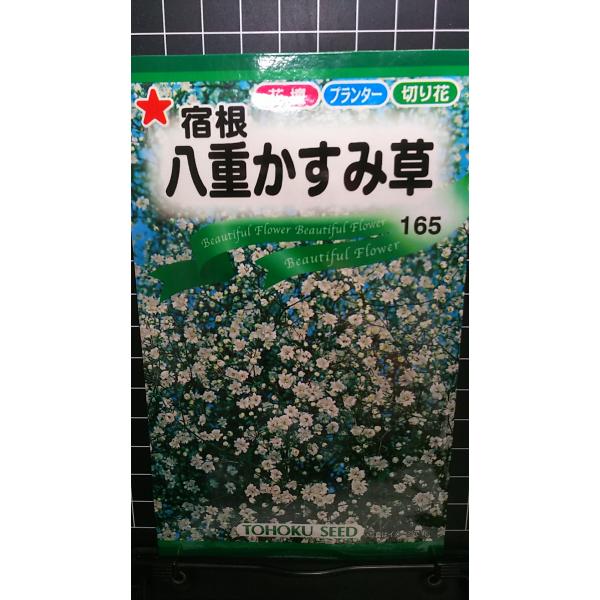 合計350円以下でのご注文は、申し訳ありませんがお受けできなくなっております。在庫切れ防止のため、実際の在庫数より販売可能数を少なく設定しております。まとまった数量をご希望の場合は、お問い合わせください。いろいろな品種を、よりどり３袋以上で...