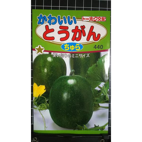合計350円以下でのご注文は、申し訳ありませんがお受けできなくなっております。在庫切れ防止のため、実際の在庫数より販売可能数を少なく設定しております。まとまった数量をご希望の場合は、お問い合わせください。いろいろな品種を、よりどり３袋以上で...