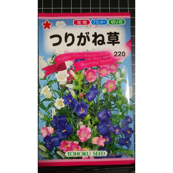 合計350円以下でのご注文は、申し訳ありませんがお受けできなくなっております。在庫切れ防止のため、実際の在庫数より販売可能数を少なく設定しております。まとまった数量をご希望の場合は、お問い合わせください。いろいろな品種を、よりどり３袋以上で...