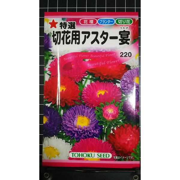合計350円以下でのご注文は、申し訳ありませんがお受けできなくなっております。在庫切れ防止のため、実際の在庫数より販売可能数を少なく設定しております。まとまった数量をご希望の場合は、お問い合わせください。いろいろな品種を、よりどり３袋以上で...