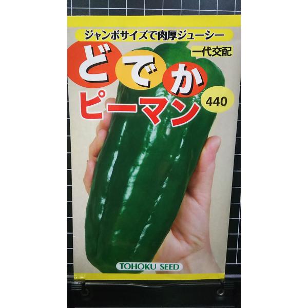 合計350円以下でのご注文は、申し訳ありませんがお受けできなくなっております。在庫切れ防止のため、実際の在庫数より販売可能数を少なく設定しております。まとまった数量をご希望の場合は、お問い合わせください。いろいろな品種を、よりどり３袋以上で...