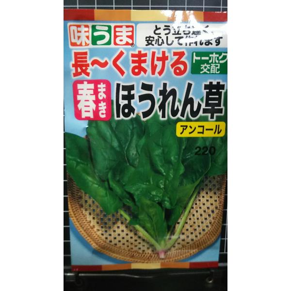 合計350円以下でのご注文は、申し訳ありませんがお受けできなくなっております。在庫切れ防止のため、実際の在庫数より販売可能数を少なく設定しております。まとまった数量をご希望の場合は、お問い合わせください。いろいろな品種を、よりどり３袋以上で...