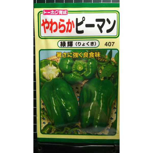 合計350円以下でのご注文は、申し訳ありませんがお受けできなくなっております。在庫切れ防止のため、実際の在庫数より販売可能数を少なく設定しております。まとまった数量をご希望の場合は、お問い合わせください。いろいろな品種を、よりどり３袋以上で...