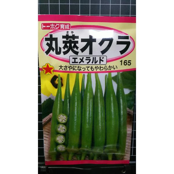 合計350円以下でのご注文は、申し訳ありませんがお受けできなくなっております。在庫切れ防止のため、実際の在庫数より販売可能数を少なく設定しております。まとまった数量をご希望の場合は、お問い合わせください。いろいろな品種を、よりどり３袋以上で...