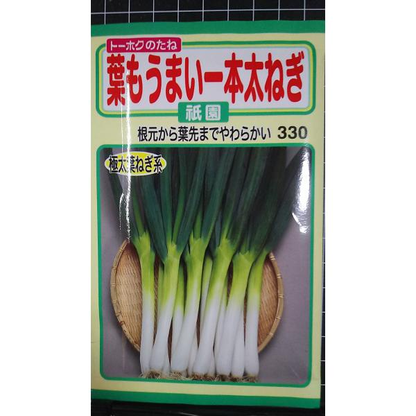 合計350円以下でのご注文は、申し訳ありませんがお受けできなくなっております。在庫切れ防止のため、実際の在庫数より販売可能数を少なく設定しております。まとまった数量をご希望の場合は、お問い合わせください。いろいろな品種を、よりどり３袋以上で...