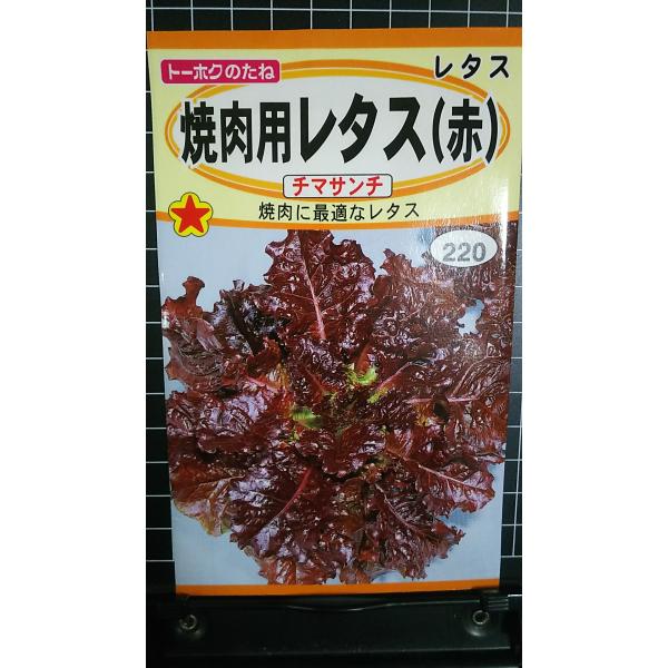 合計350円以下でのご注文は、申し訳ありませんがお受けできなくなっております。在庫切れ防止のため、実際の在庫数より販売可能数を少なく設定しております。まとまった数量をご希望の場合は、お問い合わせください。いろいろな品種を、よりどり３袋以上で...