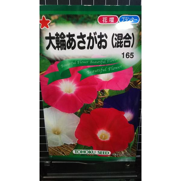 合計350円以下でのご注文は、申し訳ありませんがお受けできなくなっております。在庫切れ防止のため、実際の在庫数より販売可能数を少なく設定しております。まとまった数量をご希望の場合は、お問い合わせください。いろいろな品種を、よりどり３袋以上で...