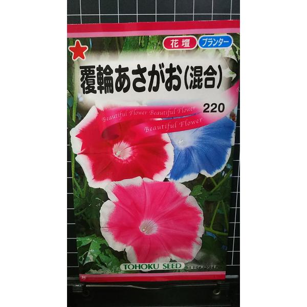 合計350円以下でのご注文は、申し訳ありませんがお受けできなくなっております。在庫切れ防止のため、実際の在庫数より販売可能数を少なく設定しております。まとまった数量をご希望の場合は、お問い合わせください。いろいろな品種を、よりどり３袋以上で...