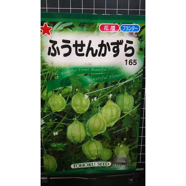 合計350円以下でのご注文は、申し訳ありませんがお受けできなくなっております。在庫切れ防止のため、実際の在庫数より販売可能数を少なく設定しております。まとまった数量をご希望の場合は、お問い合わせください。いろいろな品種を、よりどり３袋以上で...