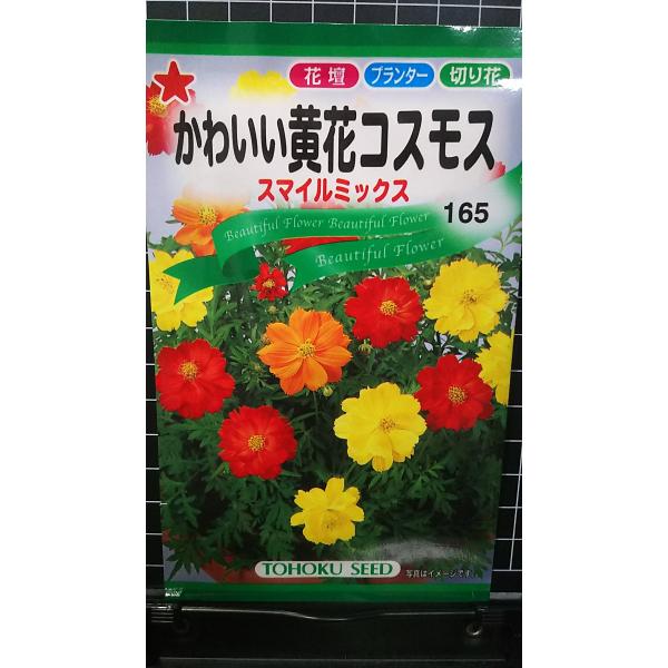 合計350円以下でのご注文は、申し訳ありませんがお受けできなくなっております。在庫切れ防止のため、実際の在庫数より販売可能数を少なく設定しております。まとまった数量をご希望の場合は、お問い合わせください。いろいろな品種を、よりどり３袋以上で...