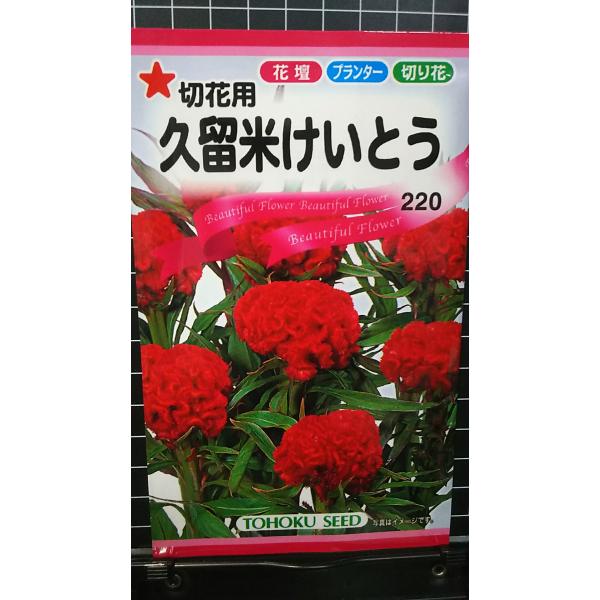 合計350円以下でのご注文は、申し訳ありませんがお受けできなくなっております。在庫切れ防止のため、実際の在庫数より販売可能数を少なく設定しております。まとまった数量をご希望の場合は、お問い合わせください。いろいろな品種を、よりどり３袋以上で...