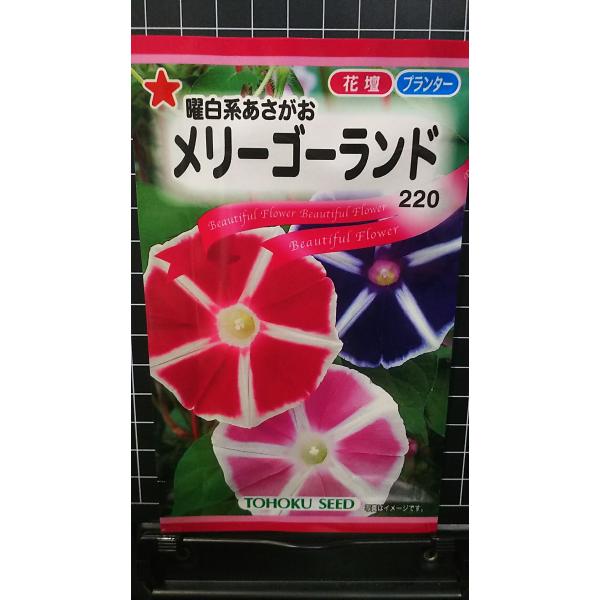 合計350円以下でのご注文は、申し訳ありませんがお受けできなくなっております。在庫切れ防止のため、実際の在庫数より販売可能数を少なく設定しております。まとまった数量をご希望の場合は、お問い合わせください。いろいろな品種を、よりどり３袋以上で...