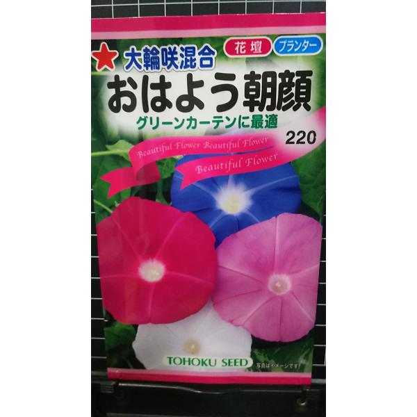 合計350円以下でのご注文は、申し訳ありませんがお受けできなくなっております。在庫切れ防止のため、実際の在庫数より販売可能数を少なく設定しております。まとまった数量をご希望の場合は、お問い合わせください。いろいろな品種を、よりどり３袋以上で...
