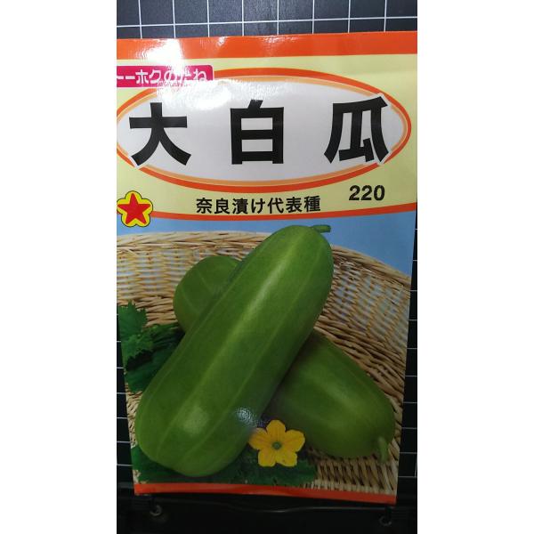 合計350円以下でのご注文は、申し訳ありませんがお受けできなくなっております。在庫切れ防止のため、実際の在庫数より販売可能数を少なく設定しております。まとまった数量をご希望の場合は、お問い合わせください。いろいろな品種を、よりどり３袋以上で...