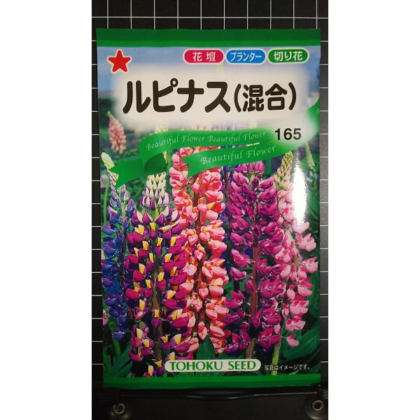 合計350円以下でのご注文は、申し訳ありませんがお受けできなくなっております。在庫切れ防止のため、実際の在庫数より販売可能数を少なく設定しております。まとまった数量をご希望の場合は、お問い合わせください。いろいろな品種を、よりどり３袋以上で...