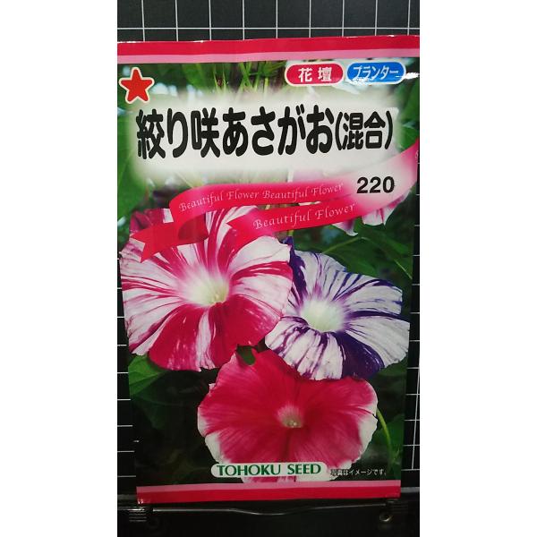 合計350円以下でのご注文は、申し訳ありませんがお受けできなくなっております。在庫切れ防止のため、実際の在庫数より販売可能数を少なく設定しております。まとまった数量をご希望の場合は、お問い合わせください。いろいろな品種を、よりどり３袋以上で...