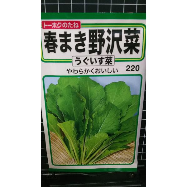合計350円以下でのご注文は、申し訳ありませんがお受けできなくなっております。在庫切れ防止のため、実際の在庫数より販売可能数を少なく設定しております。まとまった数量をご希望の場合は、お問い合わせください。いろいろな品種を、よりどり３袋以上で...