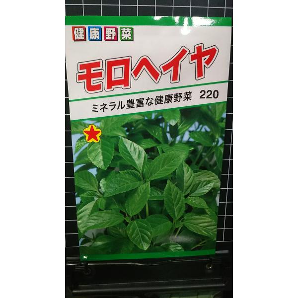合計350円以下でのご注文は、申し訳ありませんがお受けできなくなっております。在庫切れ防止のため、実際の在庫数より販売可能数を少なく設定しております。まとまった数量をご希望の場合は、お問い合わせください。いろいろな品種を、よりどり３袋以上で...