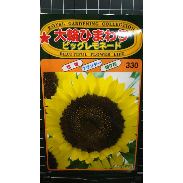 合計350円以下でのご注文は、申し訳ありませんがお受けできなくなっております。在庫切れ防止のため、実際の在庫数より販売可能数を少なく設定しております。まとまった数量をご希望の場合は、お問い合わせください。いろいろな品種を、よりどり３袋以上で...