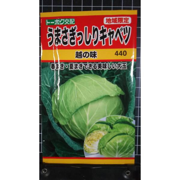 最低注文金額は合計350円以上から承ります。まとまった数量をご希望の場合、他モールの在庫を確認し、在庫数を移行できる場合がございます。お気軽にお問い合わせください。いろいろな品種を3袋以上お買い上げで、割引クーポンがご利用いただけます！必ず...