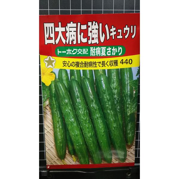 合計350円以下でのご注文は、申し訳ありませんがお受けできなくなっております。在庫切れ防止のため、実際の在庫数より販売可能数を少なく設定しております。まとまった数量をご希望の場合は、お問い合わせください。いろいろな品種を、よりどり３袋以上で...