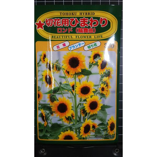 合計350円以下でのご注文は、申し訳ありませんがお受けできなくなっております。在庫切れ防止のため、実際の在庫数より販売可能数を少なく設定しております。まとまった数量をご希望の場合は、お問い合わせください。いろいろな品種を、よりどり３袋以上で...