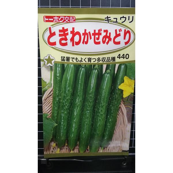 合計350円以下でのご注文は、申し訳ありませんがお受けできなくなっております。在庫切れ防止のため、実際の在庫数より販売可能数を少なく設定しております。まとまった数量をご希望の場合は、お問い合わせください。いろいろな品種を、よりどり３袋以上で...