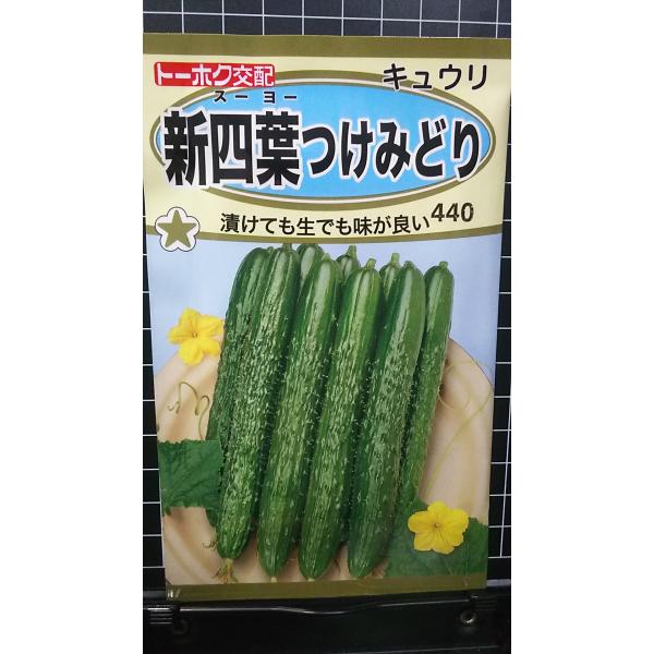 合計350円以下でのご注文は、申し訳ありませんがお受けできなくなっております。在庫切れ防止のため、実際の在庫数より販売可能数を少なく設定しております。まとまった数量をご希望の場合は、お問い合わせください。いろいろな品種を、よりどり３袋以上で...
