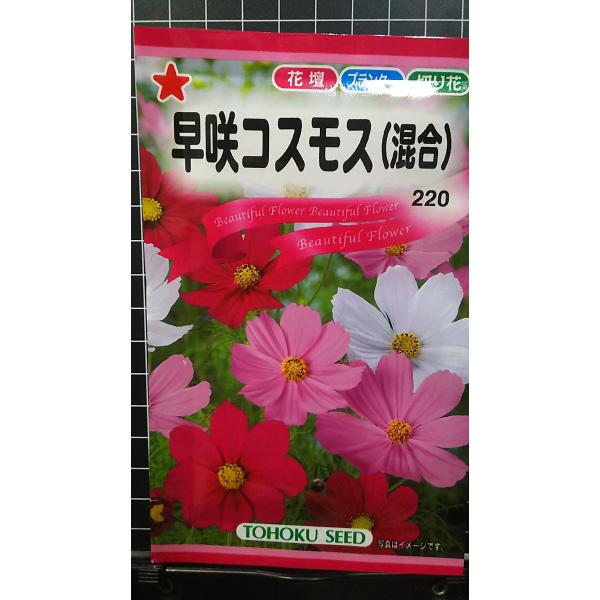 合計350円以下でのご注文は、申し訳ありませんがお受けできなくなっております。在庫切れ防止のため、実際の在庫数より販売可能数を少なく設定しております。まとまった数量をご希望の場合は、お問い合わせください。いろいろな品種を、よりどり３袋以上で...