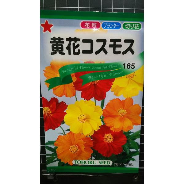 合計350円以下でのご注文は、申し訳ありませんがお受けできなくなっております。在庫切れ防止のため、実際の在庫数より販売可能数を少なく設定しております。まとまった数量をご希望の場合は、お問い合わせください。いろいろな品種を、よりどり３袋以上で...