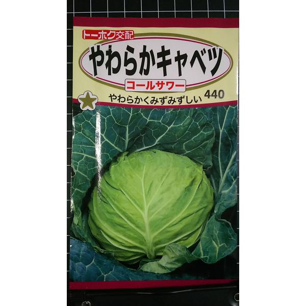 合計350円以下でのご注文は、申し訳ありませんがお受けできなくなっております。在庫切れ防止のため、実際の在庫数より販売可能数を少なく設定しております。まとまった数量をご希望の場合は、お問い合わせください。いろいろな品種を、よりどり３袋以上で...