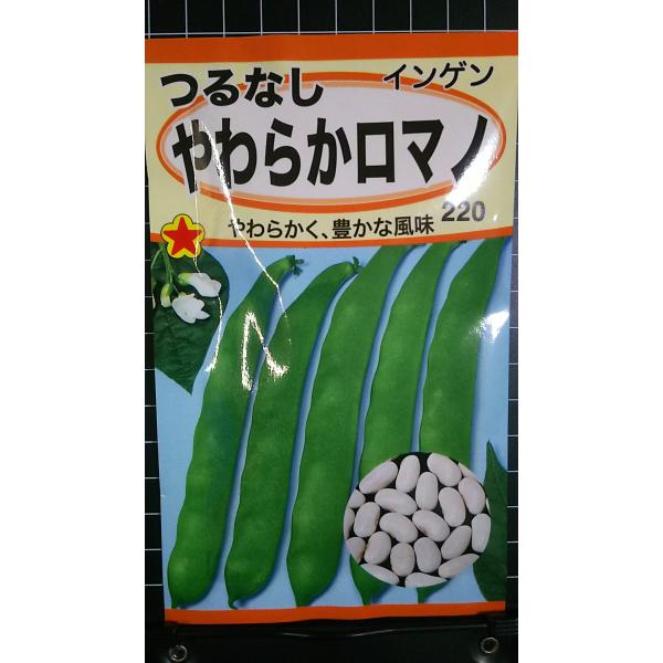 合計350円以下でのご注文は、申し訳ありませんがお受けできなくなっております。在庫切れ防止のため、実際の在庫数より販売可能数を少なく設定しております。まとまった数量をご希望の場合は、お問い合わせください。いろいろな品種を、よりどり３袋以上で...
