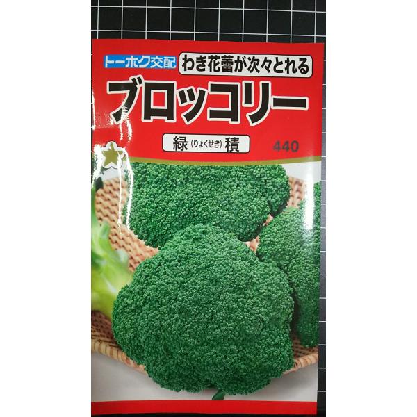 在庫切れ防止のため、実際の在庫数より販売可能数を少なく設定しております。まとまった数量をご希望の場合は、お問い合わせください。いろいろな品種を、よりどり３袋以上で、割引クーポンがご利用可能です。各種クーポンをご利用の方は、クーポン獲得→クー...