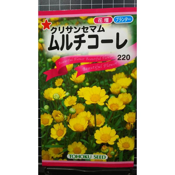 合計350円以下でのご注文は、申し訳ありませんがお受けできなくなっております。在庫切れ防止のため、実際の在庫数より販売可能数を少なく設定しております。まとまった数量をご希望の場合は、お問い合わせください。いろいろな品種を、よりどり３袋以上で...